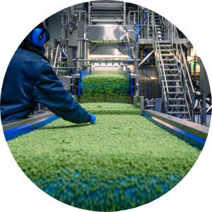 Naturally Green | Darta